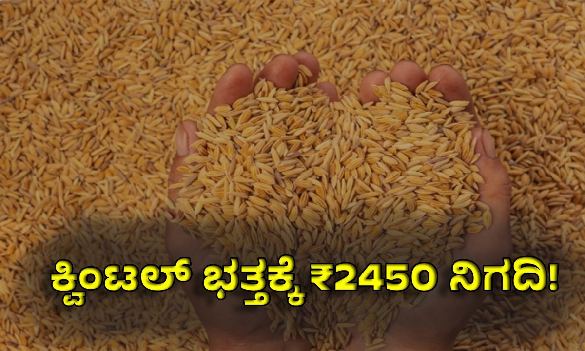 #Paddy Price: ಕ್ವಿಂಟಲ್ ಭತ್ತಕ್ಕೆ ₹2450 ನಿಗದಿ, ಜಿಲ್ಲಾಡಳಿತದಿಂದ ಸ್ಪಷ್ಟನೆ ...