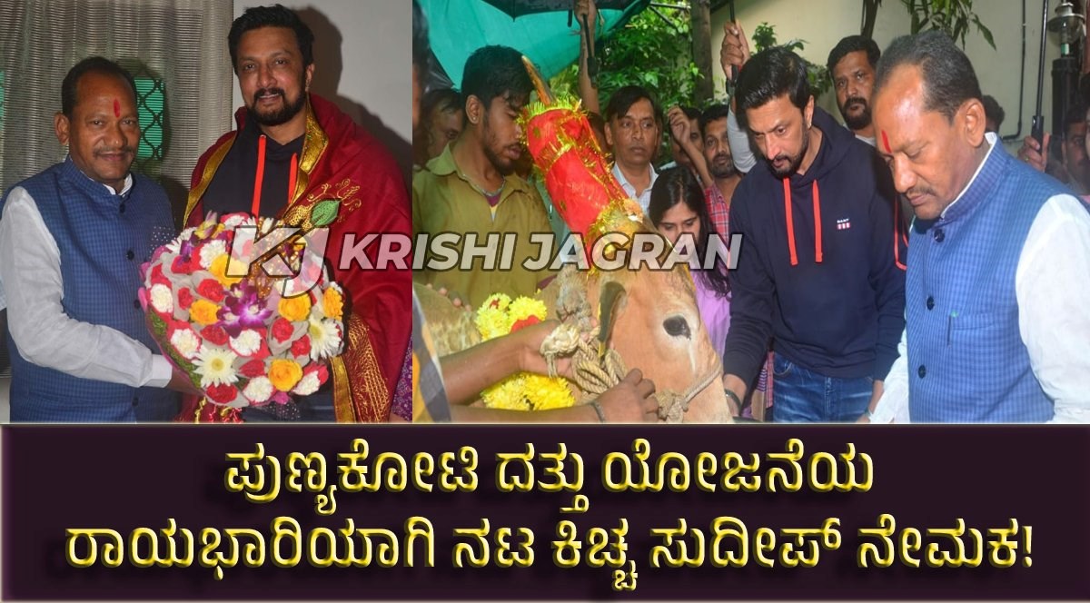 Punyakoti Dattu Yojana ಪುಣ್ಯಕೋಟಿ ದತ್ತು ಯೋಜನೆಯ ರಾಯಭಾರಿಯಾಗಿ ನಟ ಕಿಚ್ಚ