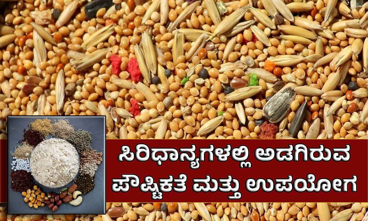 ಸಿರಿಧಾನ್ಯಗಳಲ್ಲಿ ಅಡಗಿರುವ ಪೌಷ್ಟಿಕತೆ ಮತ್ತು ಅವುಗಳ ಉಪಯೋಗ - Hidden Nutrition ...