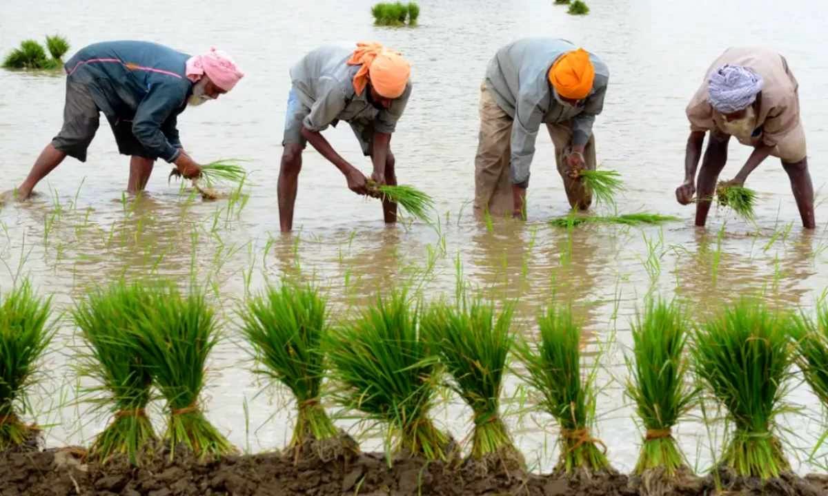 PM-KISAN: ಪಿಎಂ ಕಿಸಾನ್ ಫಲಾನುಭವಿಗಳ ಸಂಖ್ಯೆ 10.45 ಕೋಟಿಗೆ ಏರಿಕೆ - PM-KISAN ...