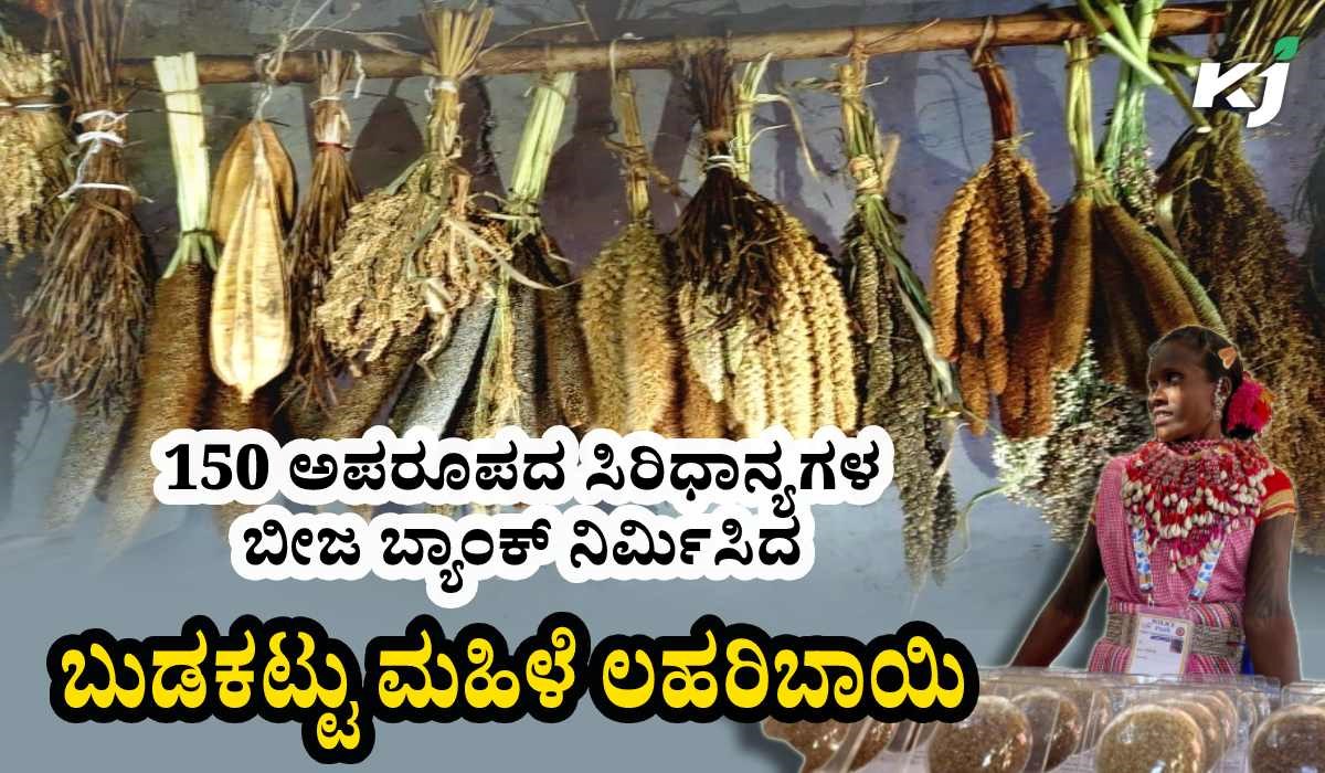 150 ಅಪರೂಪದ ಸಿರಿಧಾನ್ಯಗಳ Seed Bank ನಿರ್ಮಿಸಿದ ಬುಡಕಟ್ಟು ಮಹಿಳೆ ಲಹರಿಬಾಯಿ - Lahari Bai, a tribal woman ...