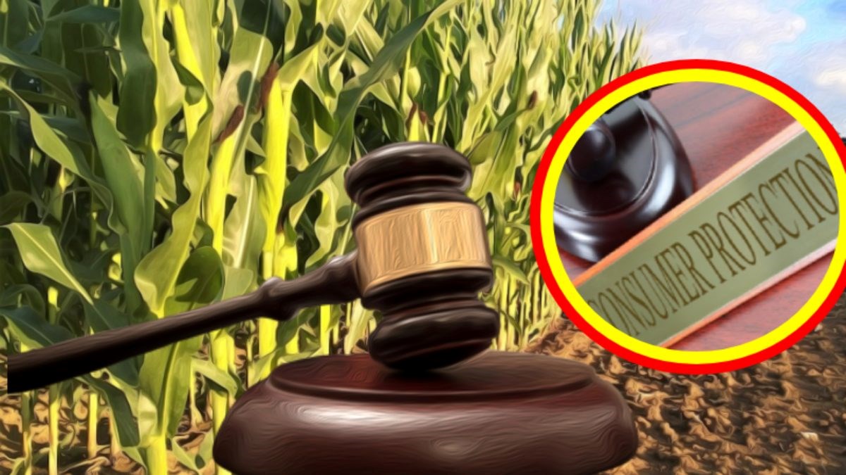 ಕಳಪೆ ಗುಣಮಟ್ಟದ ಬೀಜ ಪೂರೈಕೆ: ಸೀಡ್ಸ್ ಕಂಪನಿಗೆ ಬಿತ್ತು ಭಾರೀ ದಂಡ! - Poor ...