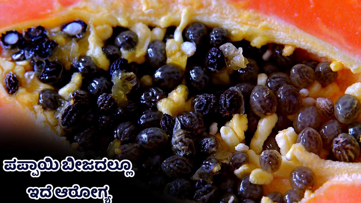 ಪಪ್ಪಾಯಿ ಬೀಜದಲ್ಲೂ ಇದೆ ಆರೋಗ್ಯ..ಎಸೆಯೋ ಮುನ್ನ ತಿಳಿಯಿರಿ - Papaya Seeds health ...