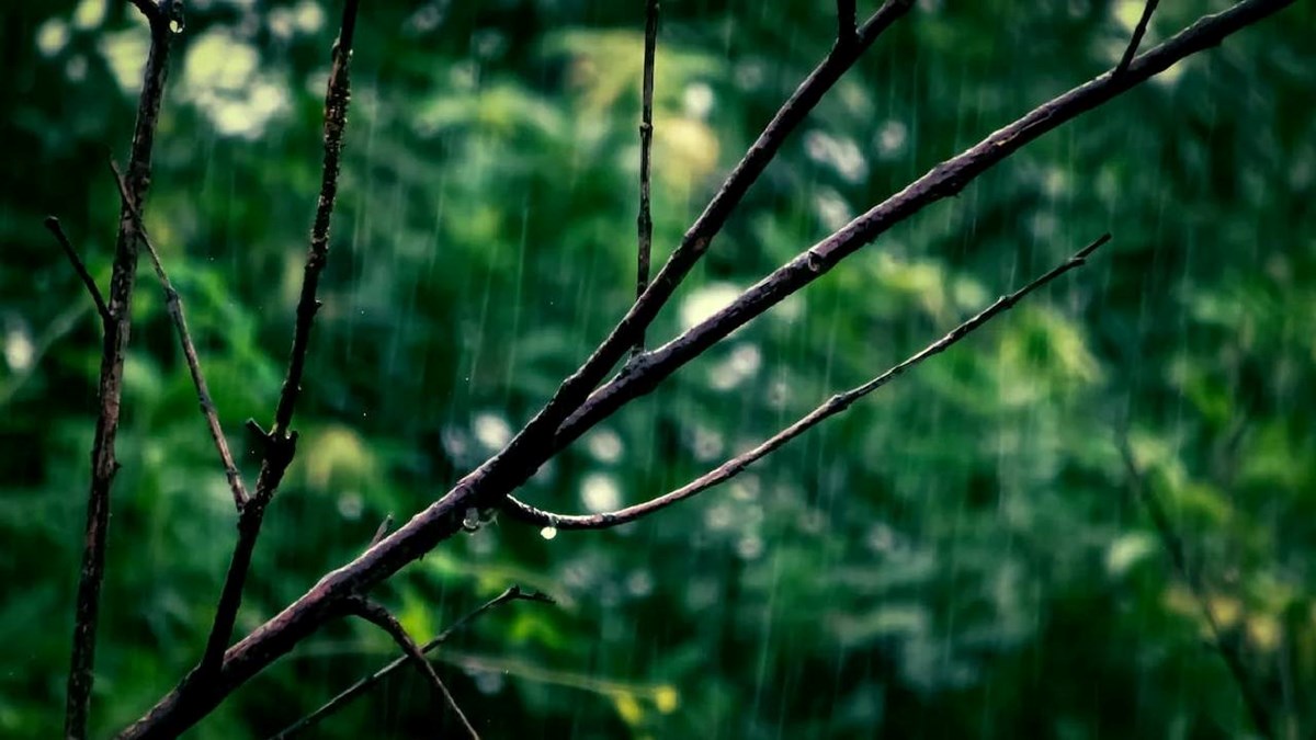 Rain ರಾಜ್ಯದ ವಿವಿಧ ಜಿಲ್ಲೆಗಳಲ್ಲಿ ಎರಡು ದಿನ ಮಳೆ: ಐಎಂಡಿ - Two days of rain ...