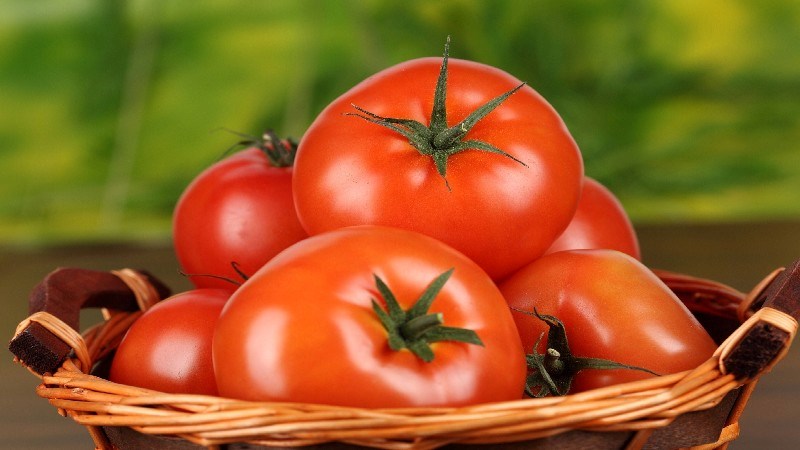 ಟೊಮ್ಯಾಟೊ:ಉಪಯೋಗ ಮತ್ತು ಮೌಲ್ಯವರ್ಧನೆ - Uses Of Tometo And Benefits